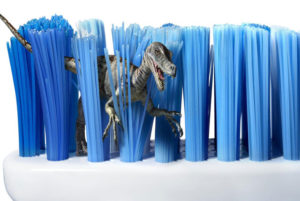 ¿A todos nos podría afectar la miasis oral? - Odontologia